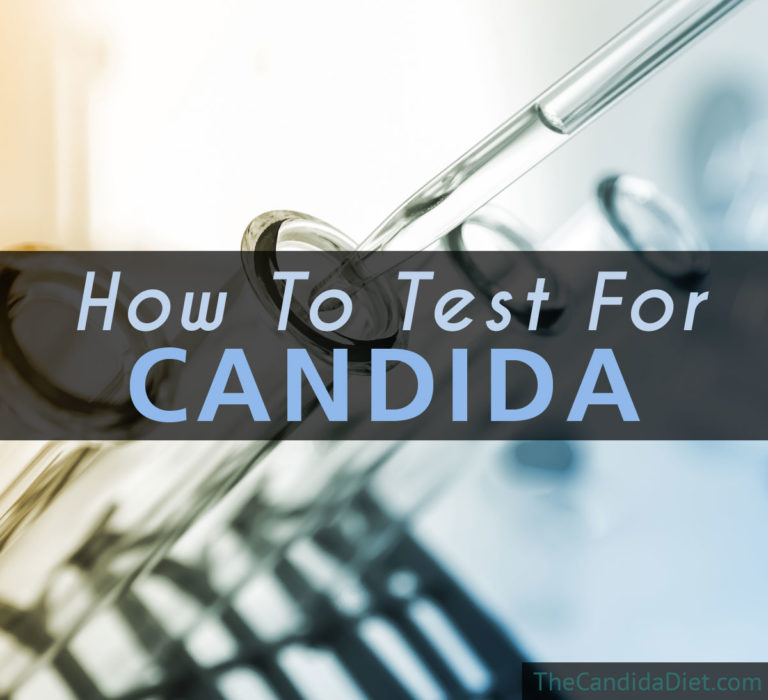 Testing For Candida – The Candida Diet
