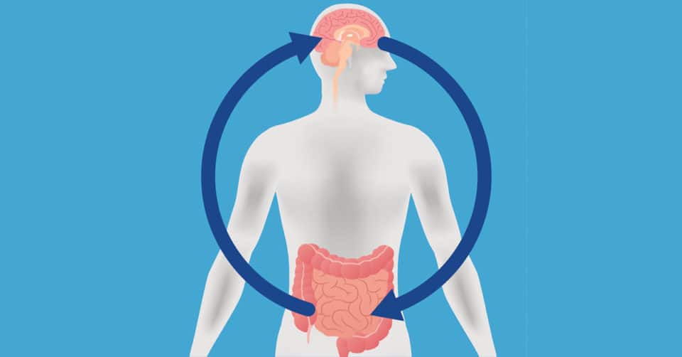 What Is the Gut-Brain Axis, And Why Does It Matter? – The Candida Diet